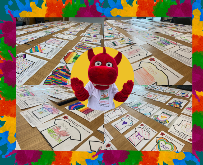 Dewi'r Ddraig - Comisiynyddd yr Heddlu a Throseddau